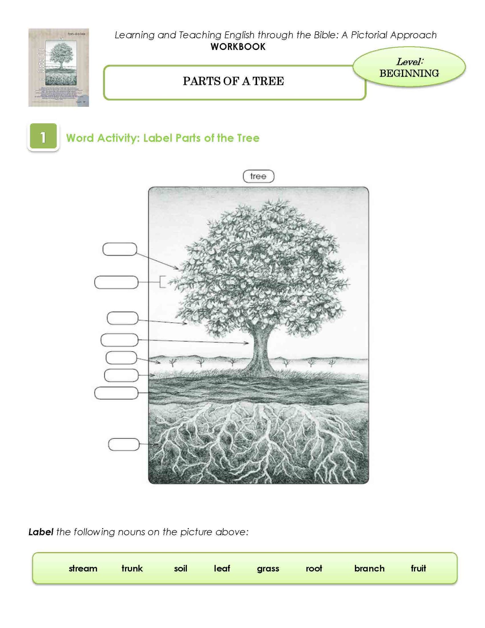 Parts of a Tree and Psalm 1 – Intermediate Worksheet – CELA