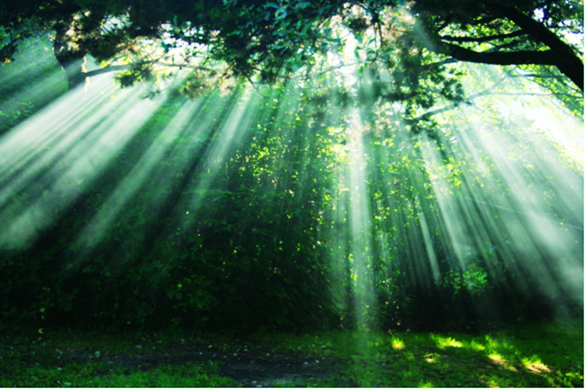 To Be Verb (p. 56) | Bible and English